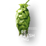 KROO - Crisp and Refreshing Beer